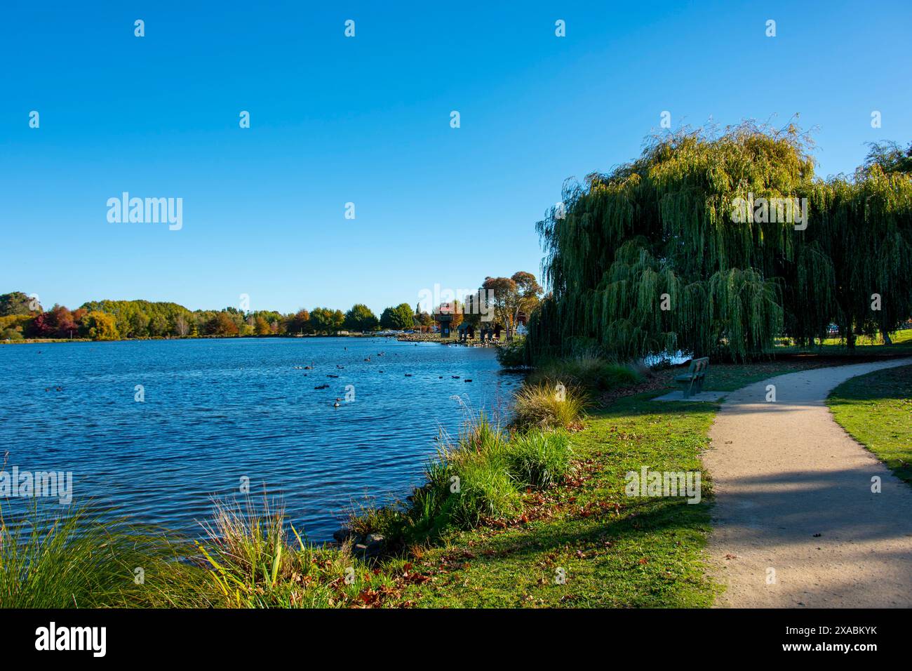 Henley lake park hi-res stock photography and images - Alamy