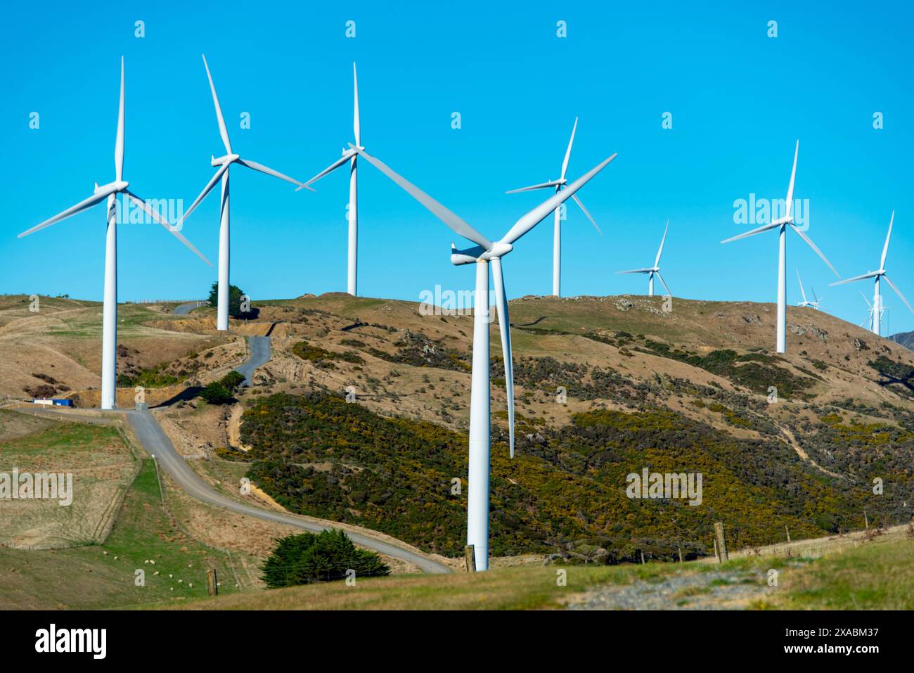 West Wind Farm in Wellington - New Zealand Stock Photo - Alamy