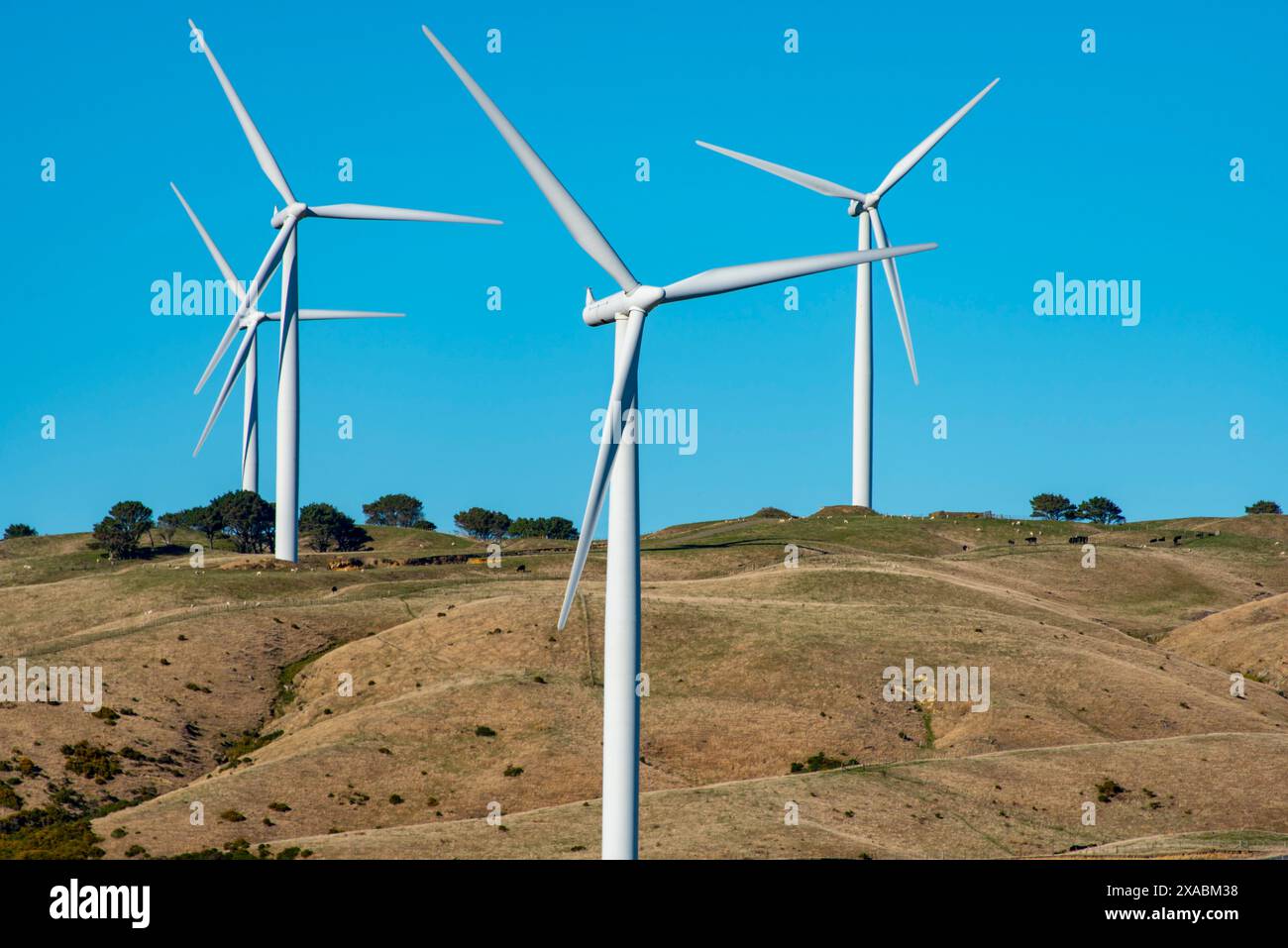 West farm hi-res stock photography and images - Alamy