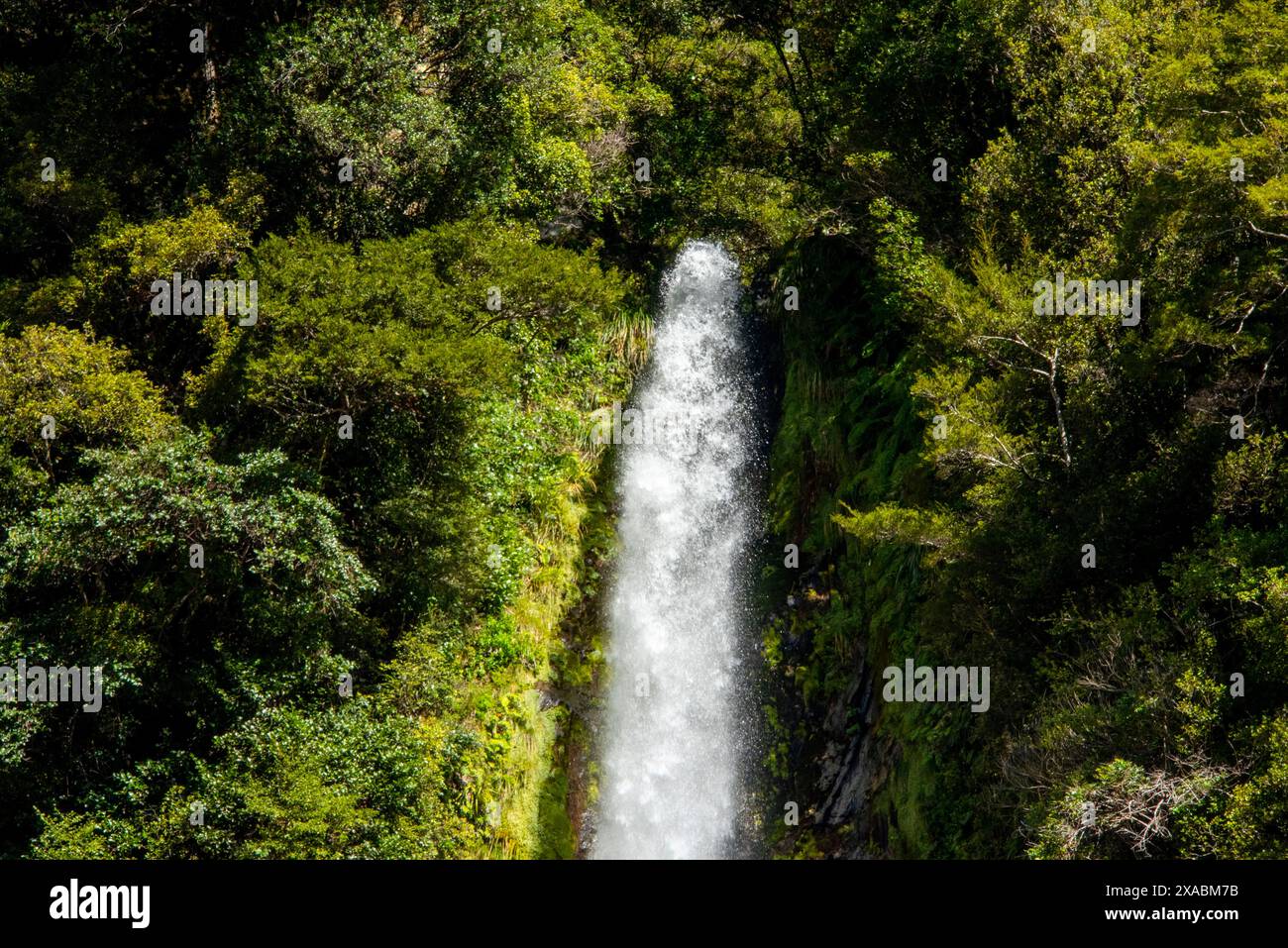 Thunder Creek Falls - New Zealand Stock Photo - Alamy