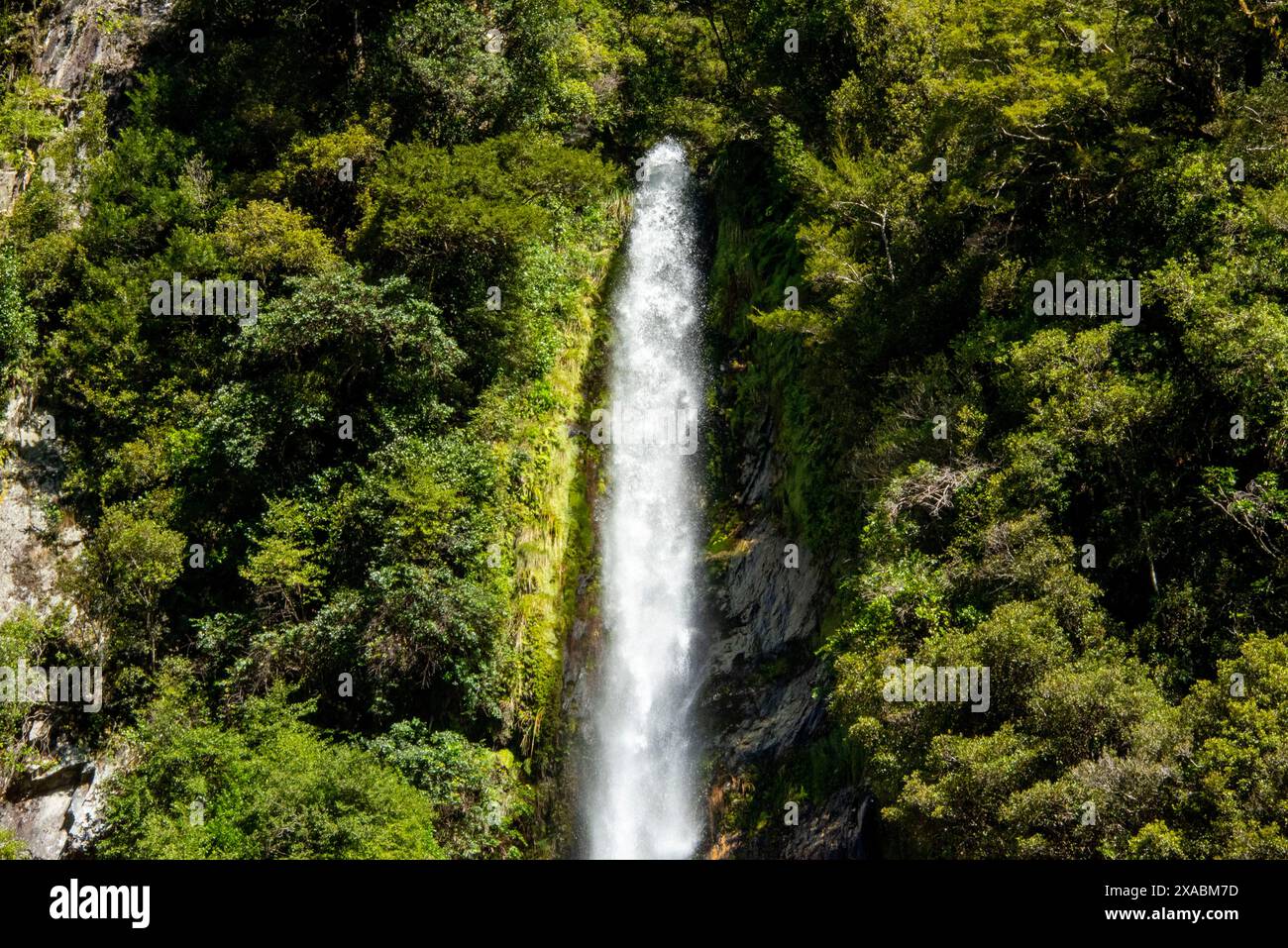 Thunder Creek Falls - New Zealand Stock Photo - Alamy