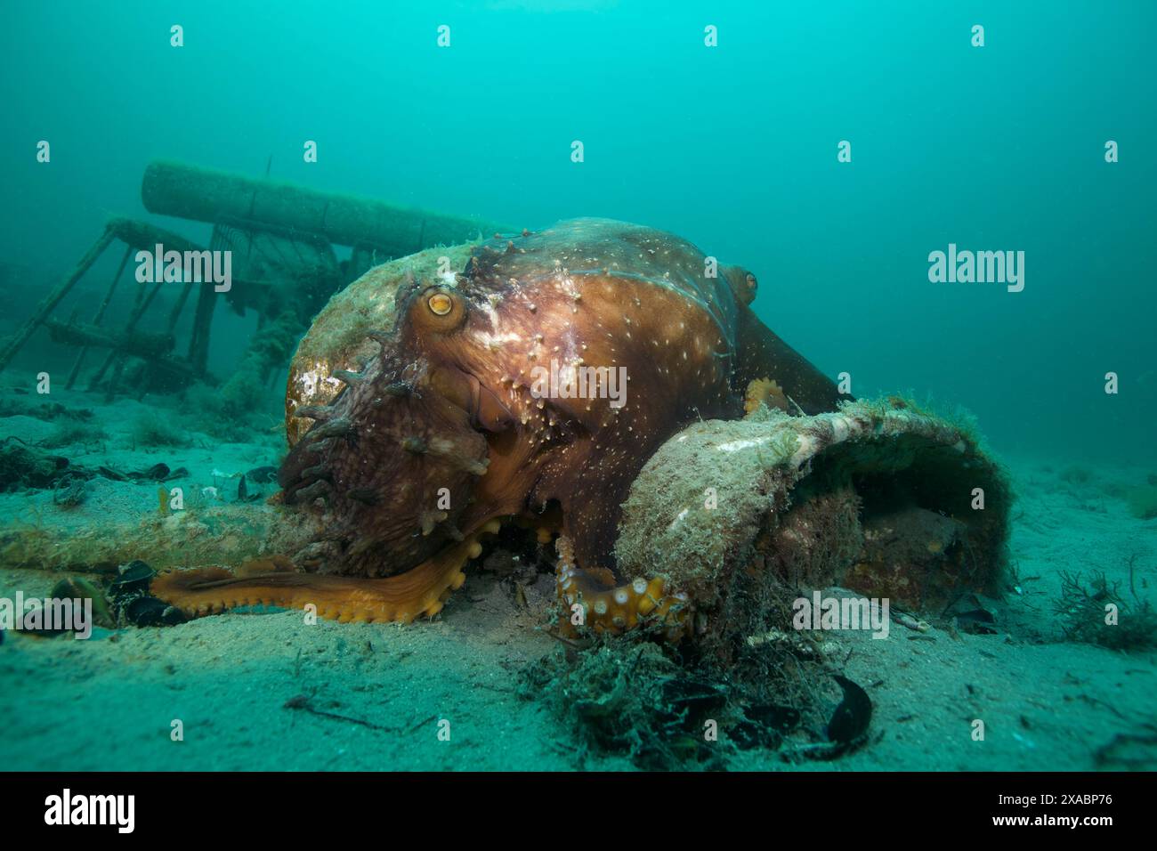 Outer reef hi-res stock photography and images - Alamy