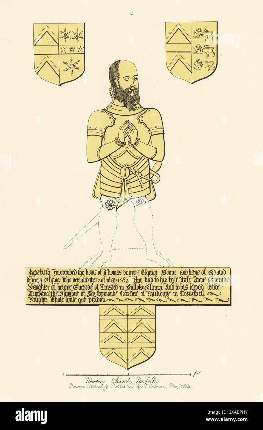 Thomas de Grey, 1562. Bald man with beard, in plate armour, tassets and ...