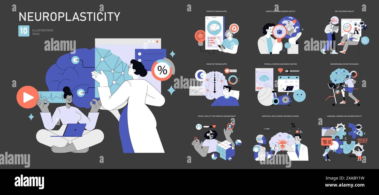 Neuroplasticity vector set. Brain development and cognitive enhancement ...