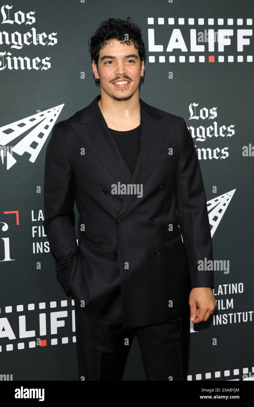 LOS ANGELES - MAY 29: Aaron Dominguez at the In the Summers Premiere at ...