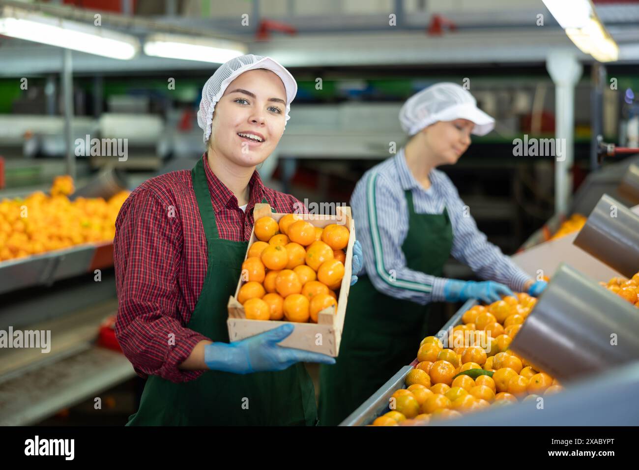 Cheerful girl worker with box of tangerines at fruit sorting factory ...