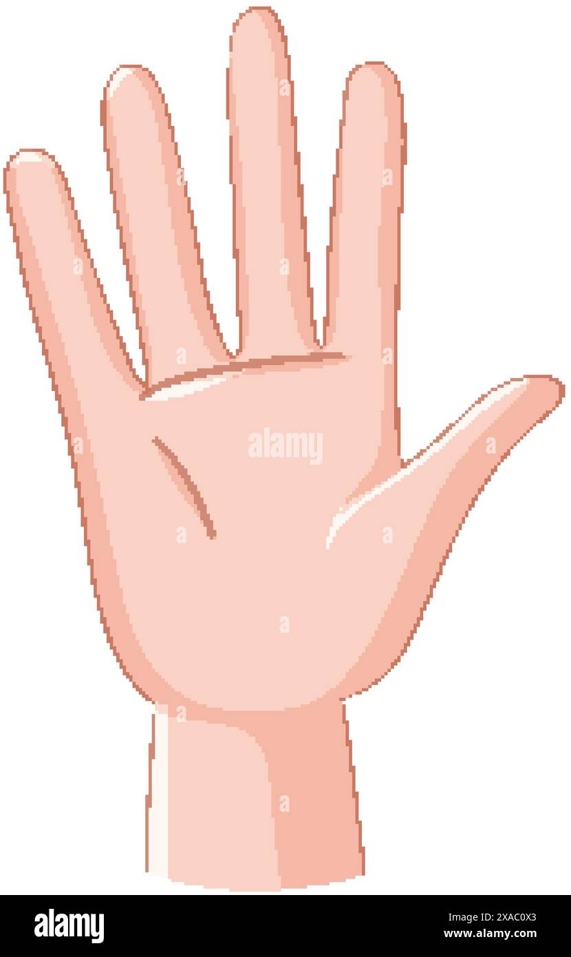 Hand anatomy detailed vector vectors hi-res stock photography and ...