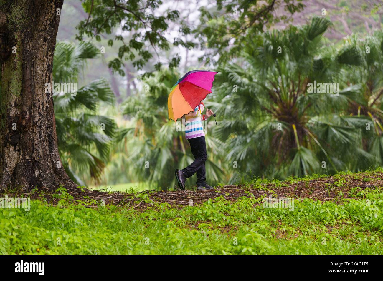 Child playing in autumn rain. Kid jumping in muddy puddle in beautiful ...