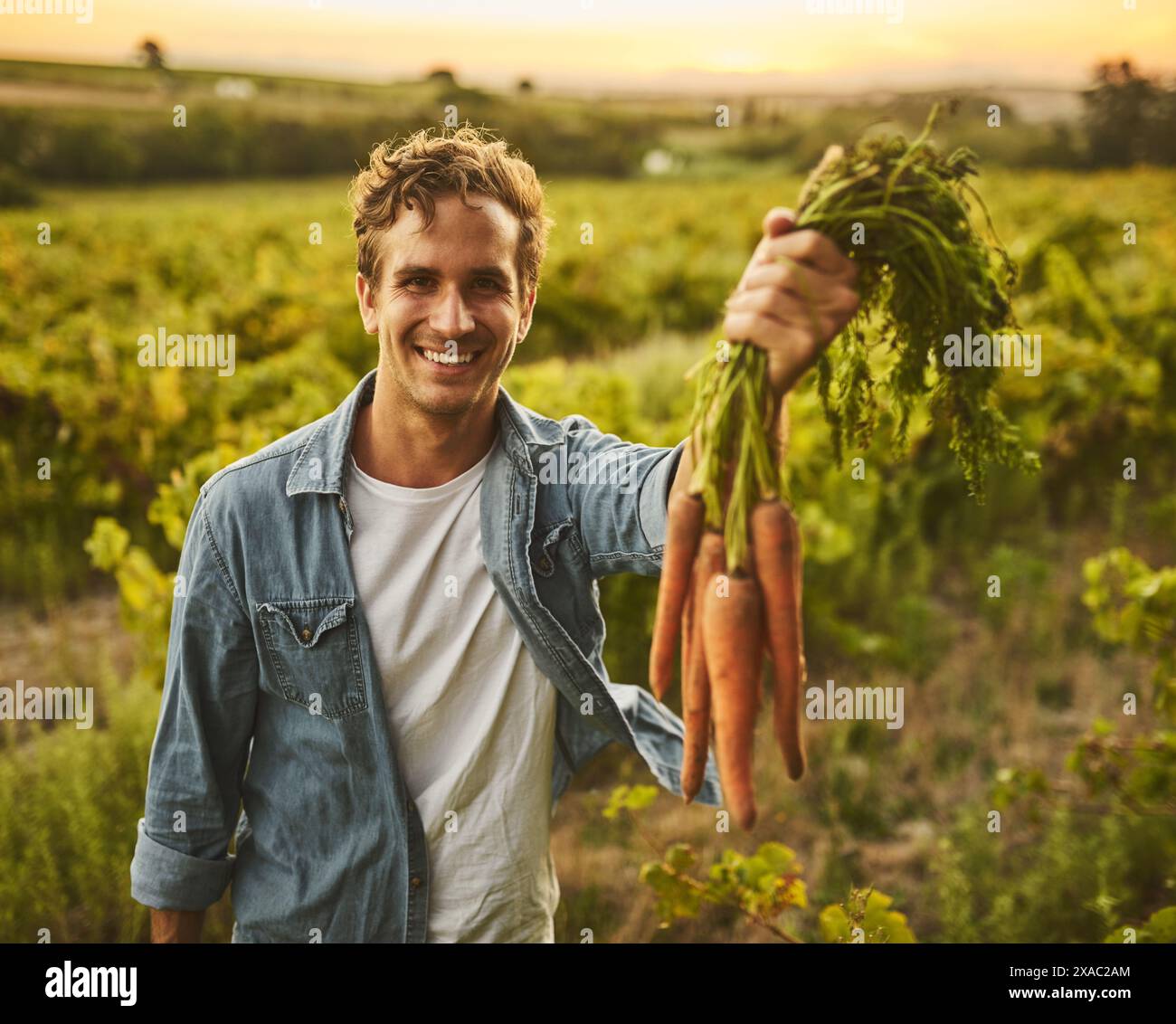 Portrait, farming and man with carrots in nature for agriculture ...