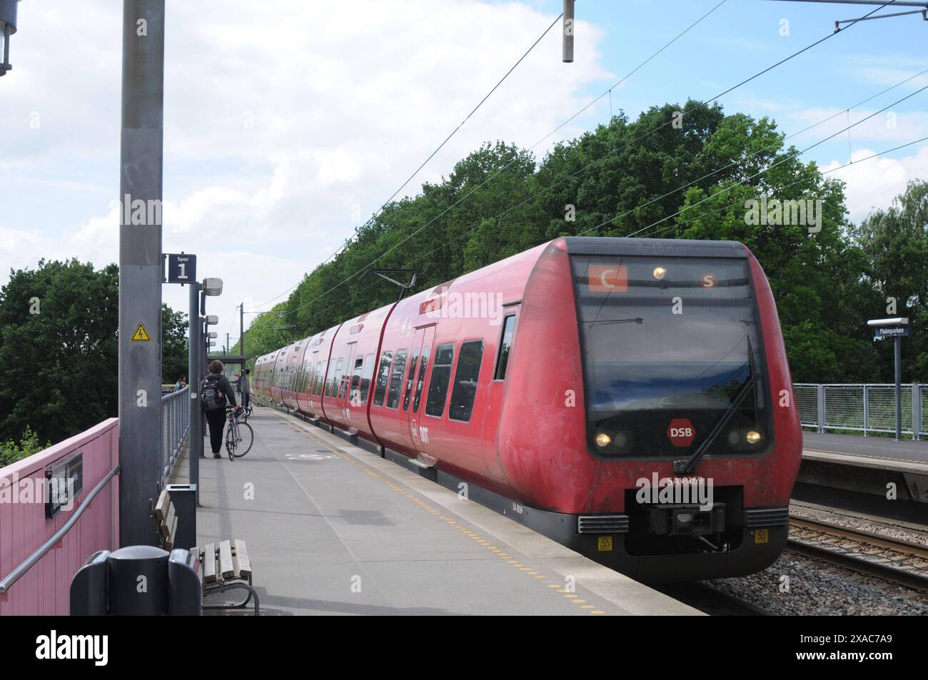 Copenhagen/ Denmark/05 jUNE 2024/Daniosh local train dsb is part of ...