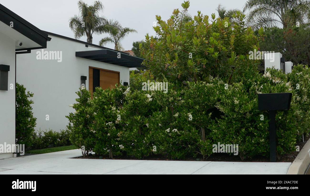 Pacific Palisades, California, USA 5th June 2024 Actor Matthew Perrys ...