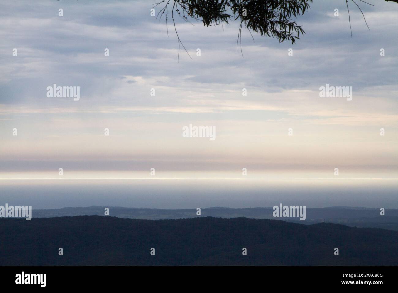 View of the Australian bush at sunset Stock Photo - Alamy