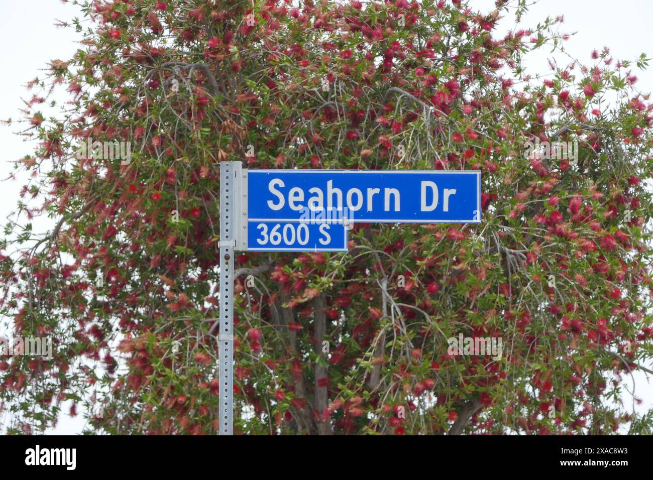 Pacific Palisades, California, USA 5th June 2024 Seahorn Drive on June ...