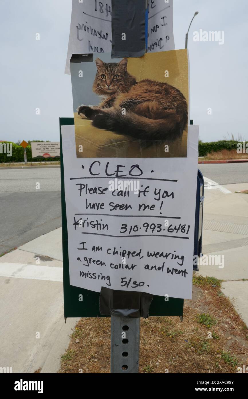Pacific Palisades, California, USA 5th June 2024 Missing Cat Sign on June 5, 2024 in Pacific ...