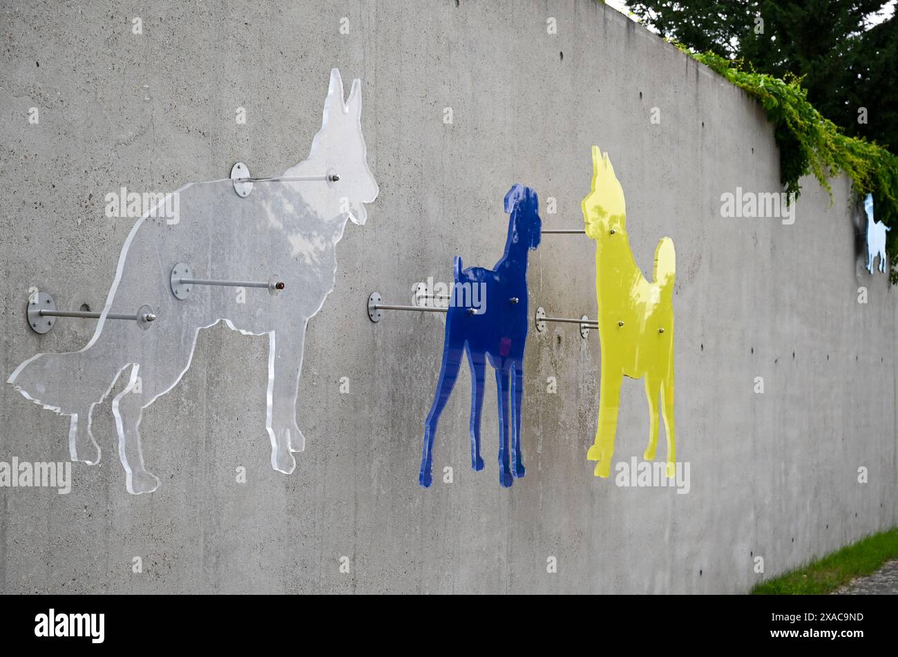 05 June 2024, Berlin: View of the entrance to the Berlin animal shelter ...