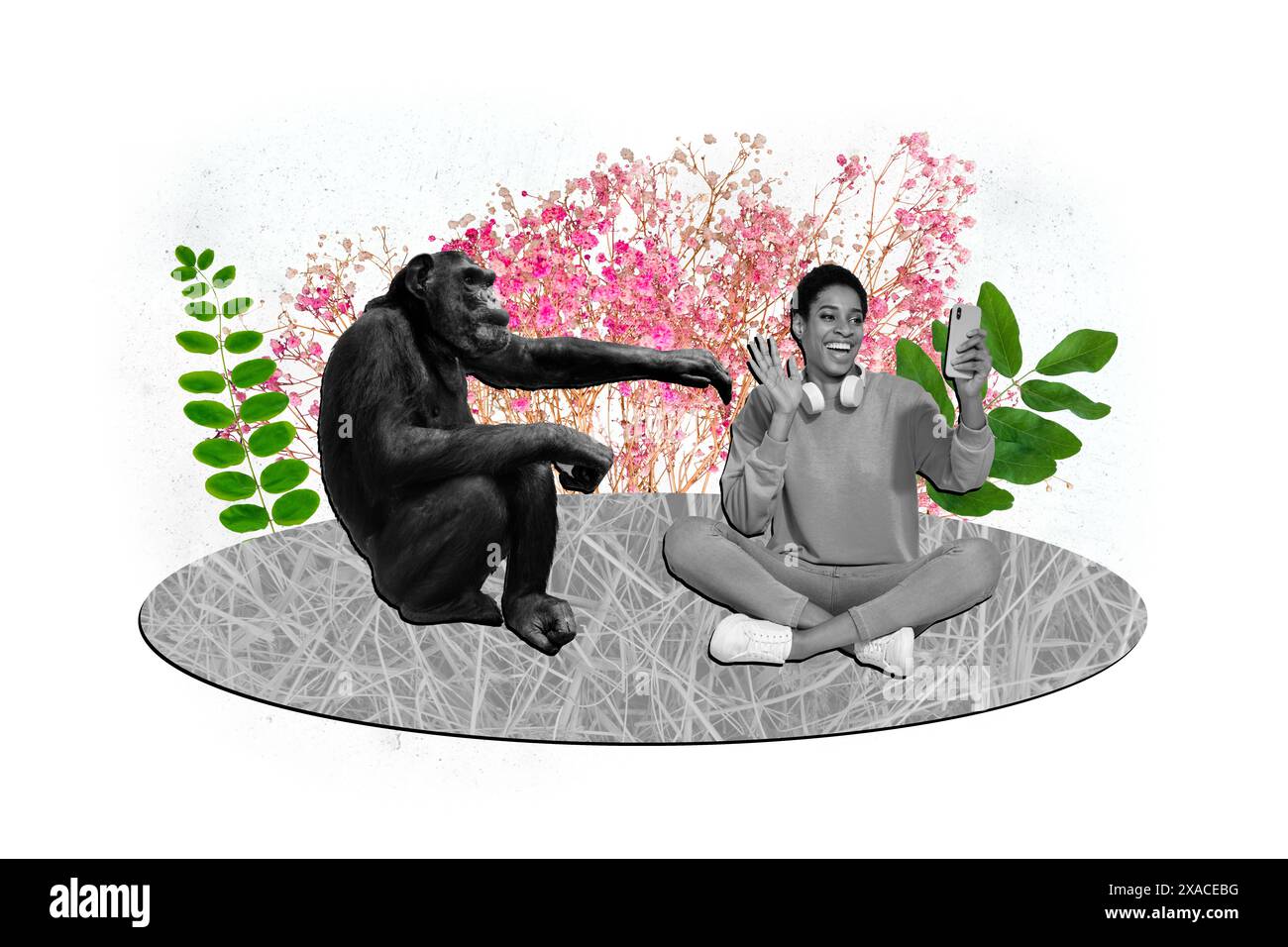 Creative abstract template collage of animal chimpanzee zoo selfie ...