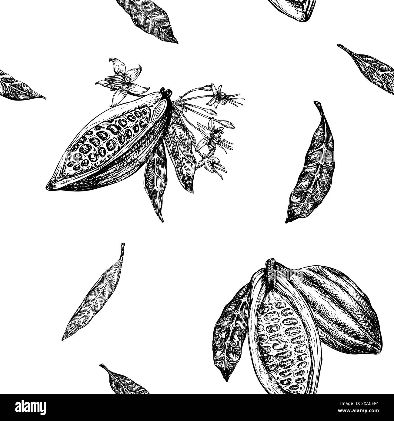 Seamless pattern with cocoa fruit graphic illustration, hand drawn ...