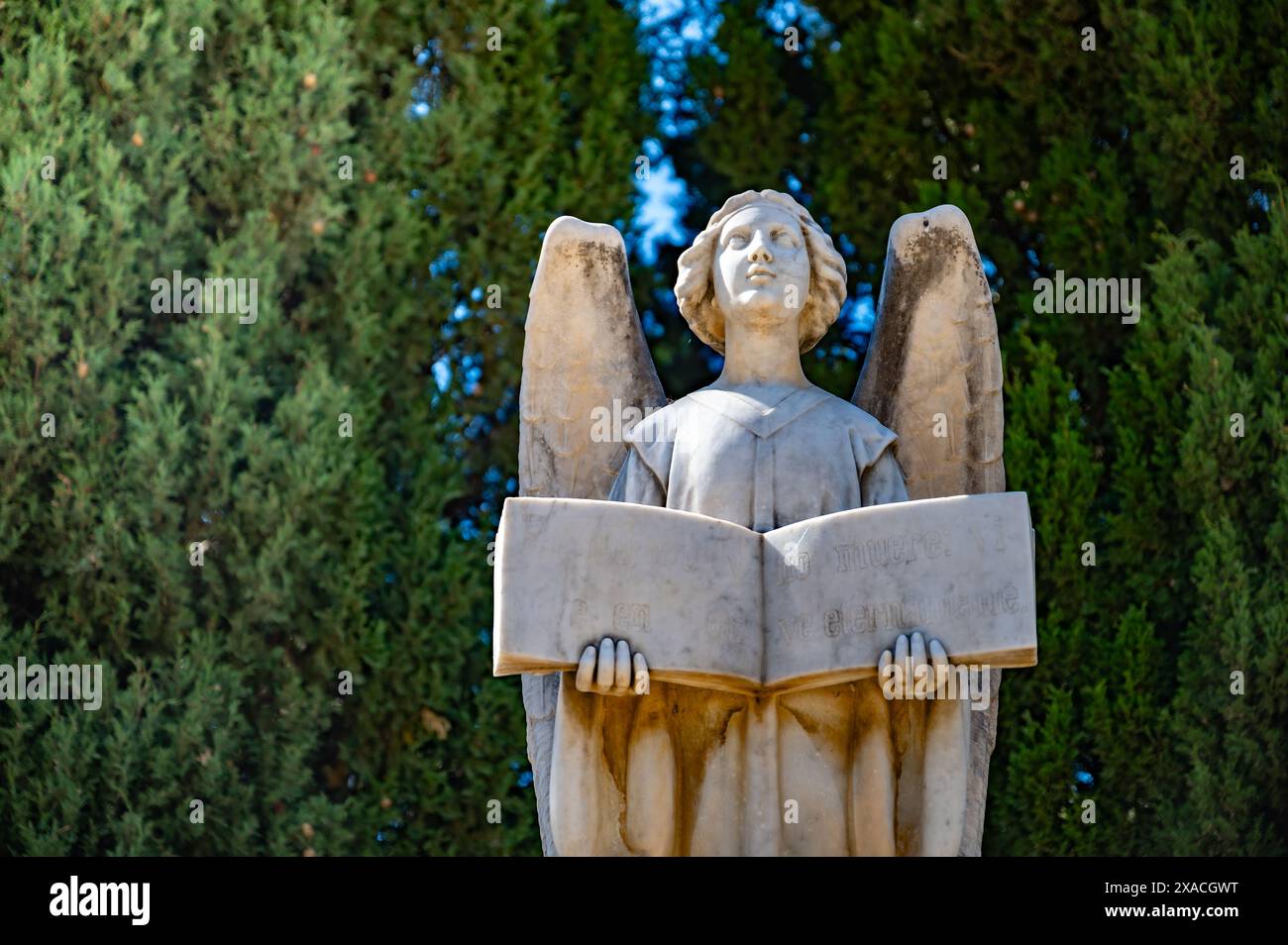 Angel statue holding a opened book at the Graveyard of Soller, Majorca ...