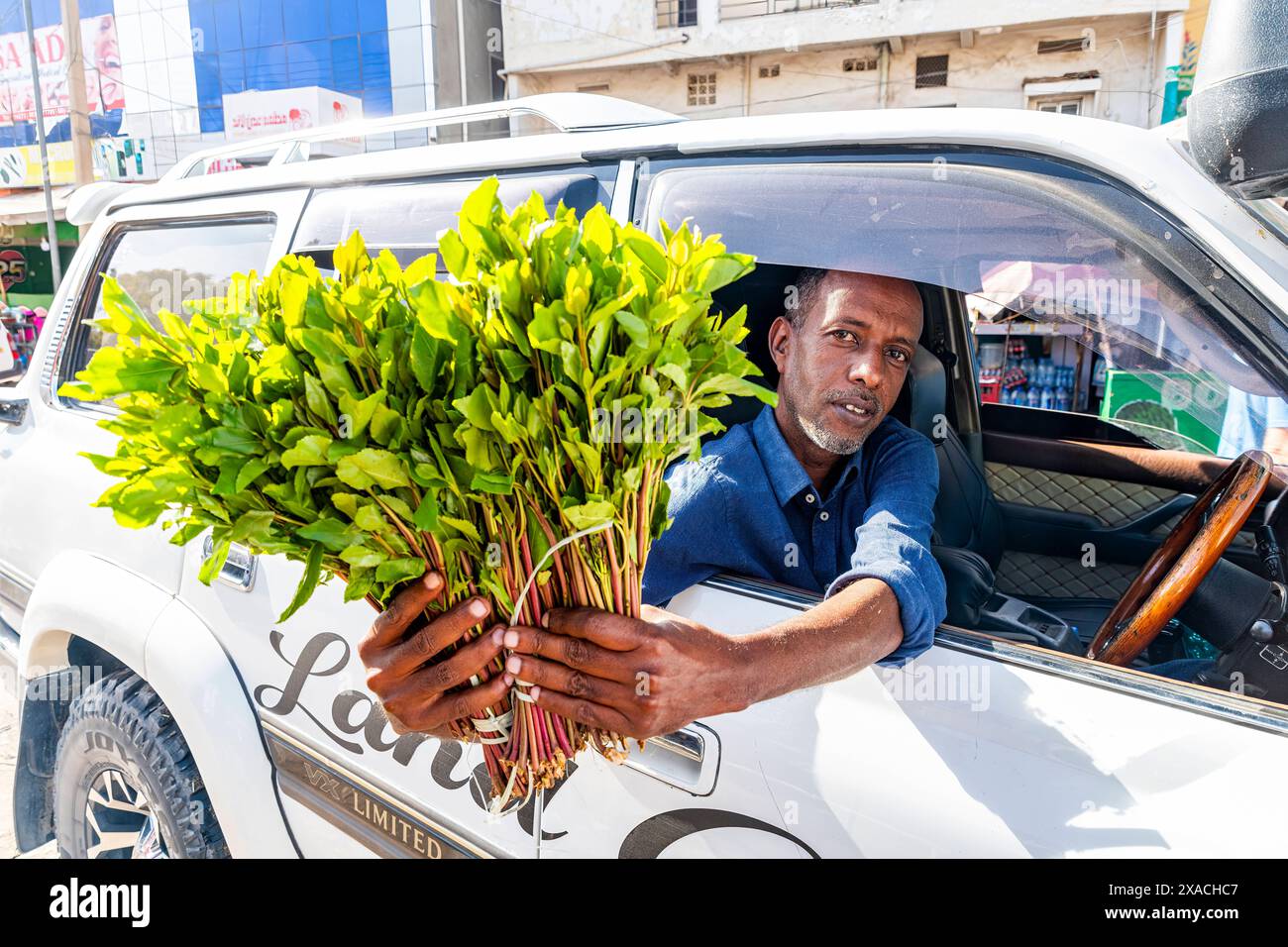 Man selling Khat Qat, a local drug, Hargeisa, Somaliland, Somalia ...