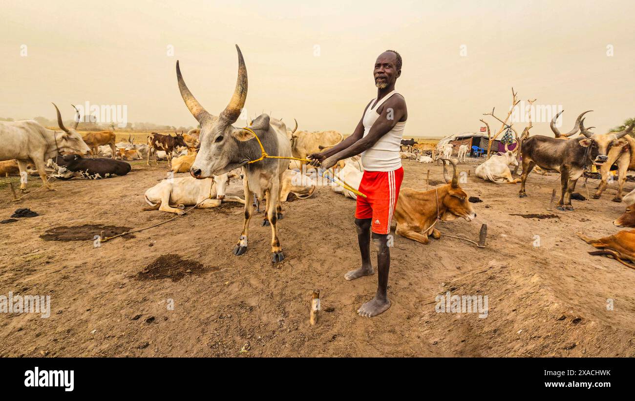 Man in the Dinka cattle camp, Bor, central region, South Sudan, Africa ...