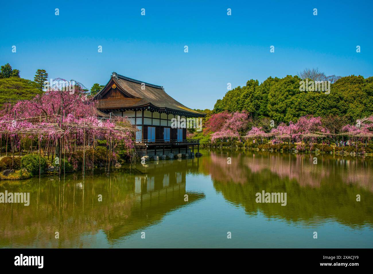 Heian jingu heian jingu schrein hi-res stock photography and images - Alamy