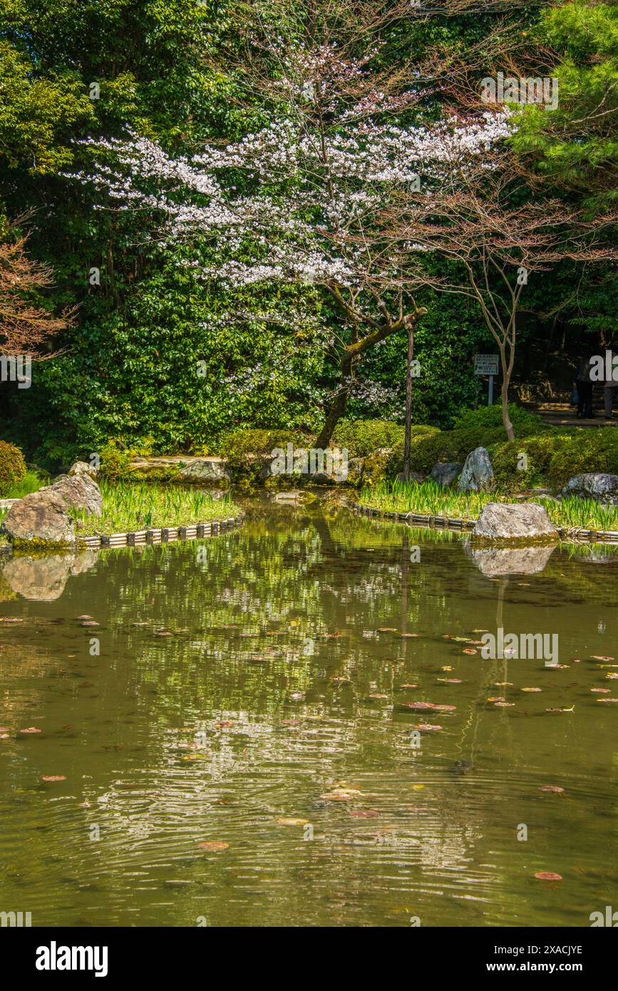 Okazaki Park in the Heian Jingu Shrine, Kyoto, Honshu, Japan, Asia ...