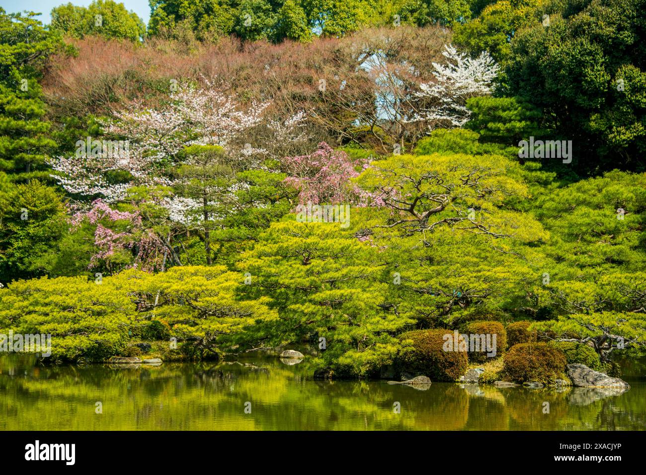 Okazaki Park in the Heian Jingu Shrine, Kyoto, Honshu, Japan, Asia ...