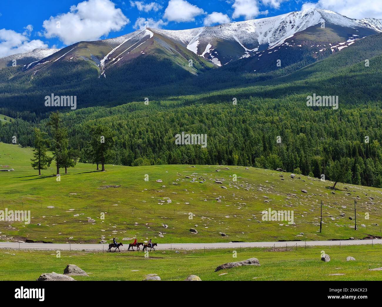 Habahe 4th June 2024 Tourists Ride Horses In Habahe County Of Altay habahe-4th-june-2024-tourists-ride-horses-in-habahe-county-of-altay
