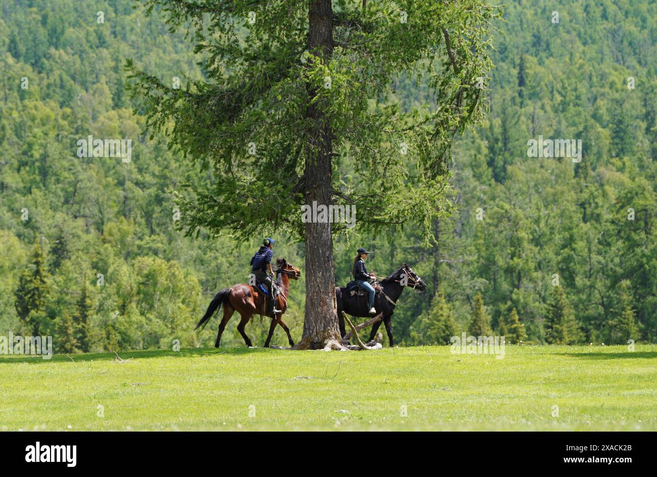 Habahe 4th June 2024 Tourists Ride Horses In Habahe County Of Altay habahe-4th-june-2024-tourists-ride-horses-in-habahe-county-of-altay