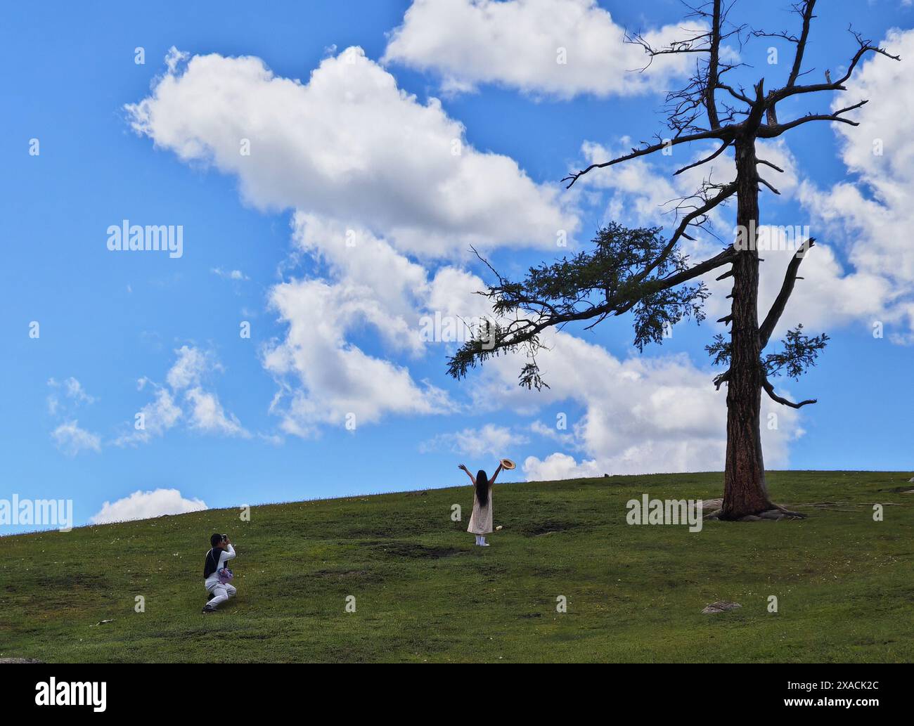 Habahe. 4th June, 2024. A tourist poses for photos under a tree in ...
