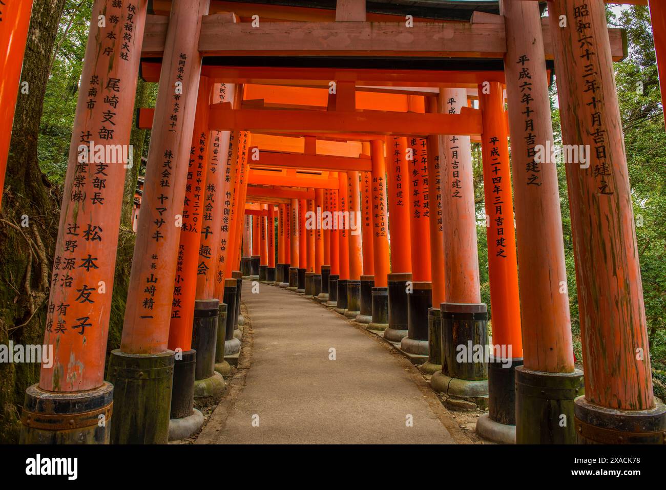 The Endless Red Gates Torii of Kyoto s Fushimi Inari, Kyoto, Honshu ...