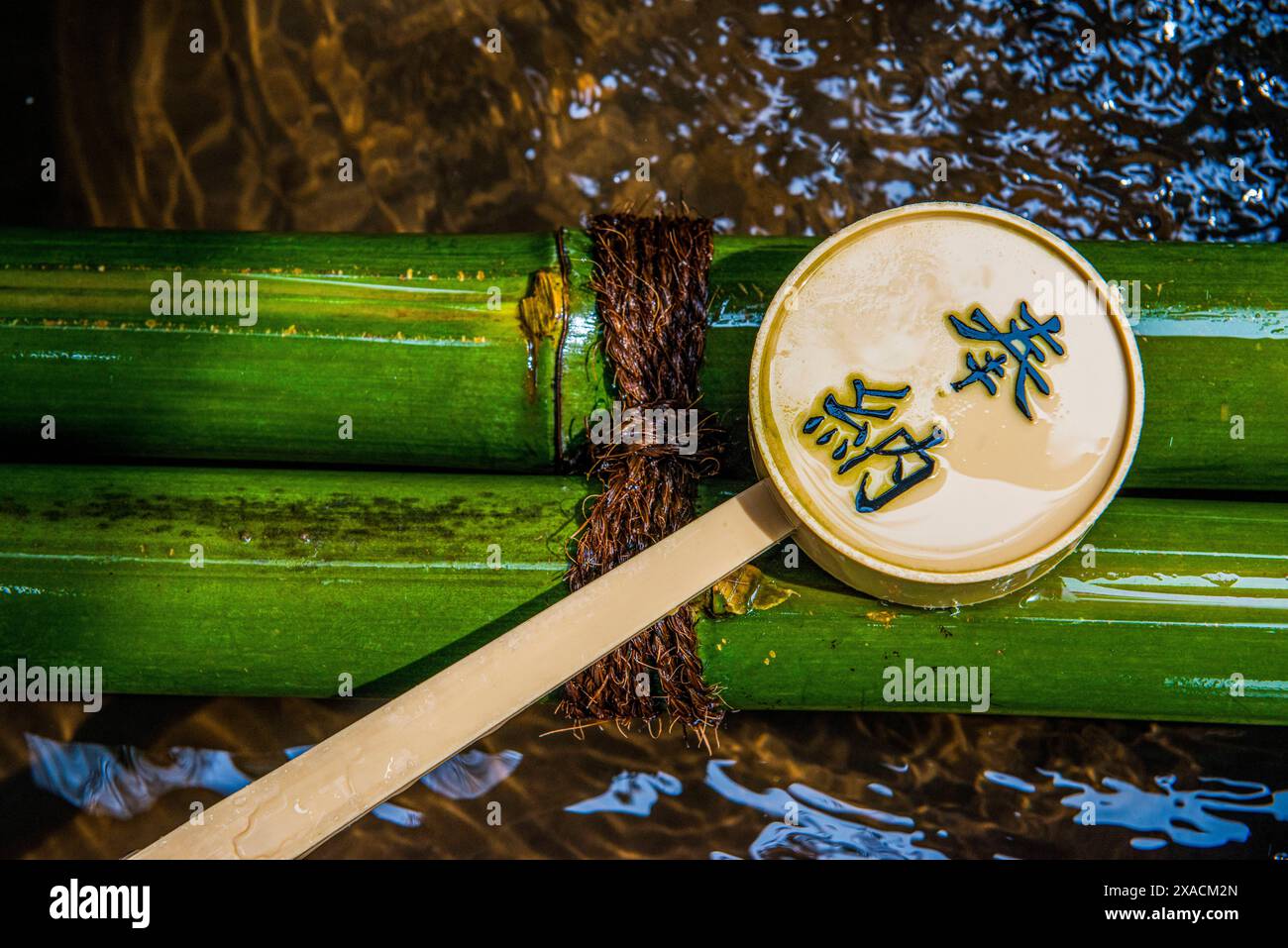 Water dipper, UNESCO World Heritage Site, Nara, Kansai, Honshu, Japan ...