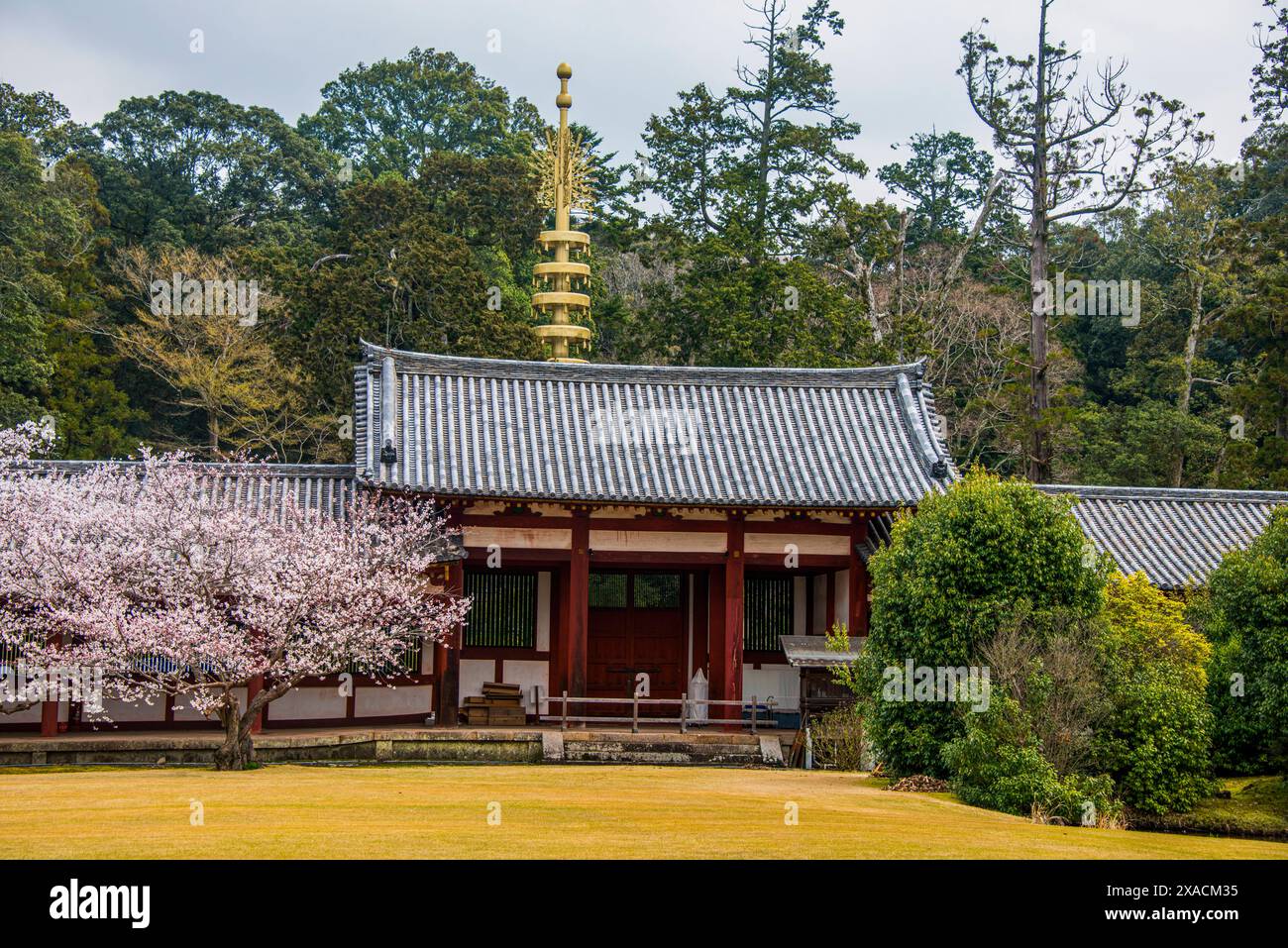 Todaiji Temple, UNESCO World Heritage Site, Nara, Kansai, Honshu, Japan ...