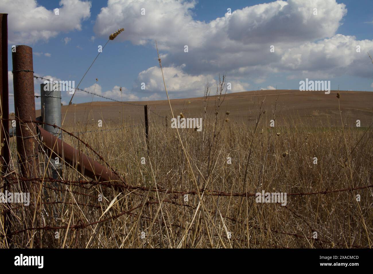 View of dry farming fields and hill in Bathurst, Australia Stock Photo ...