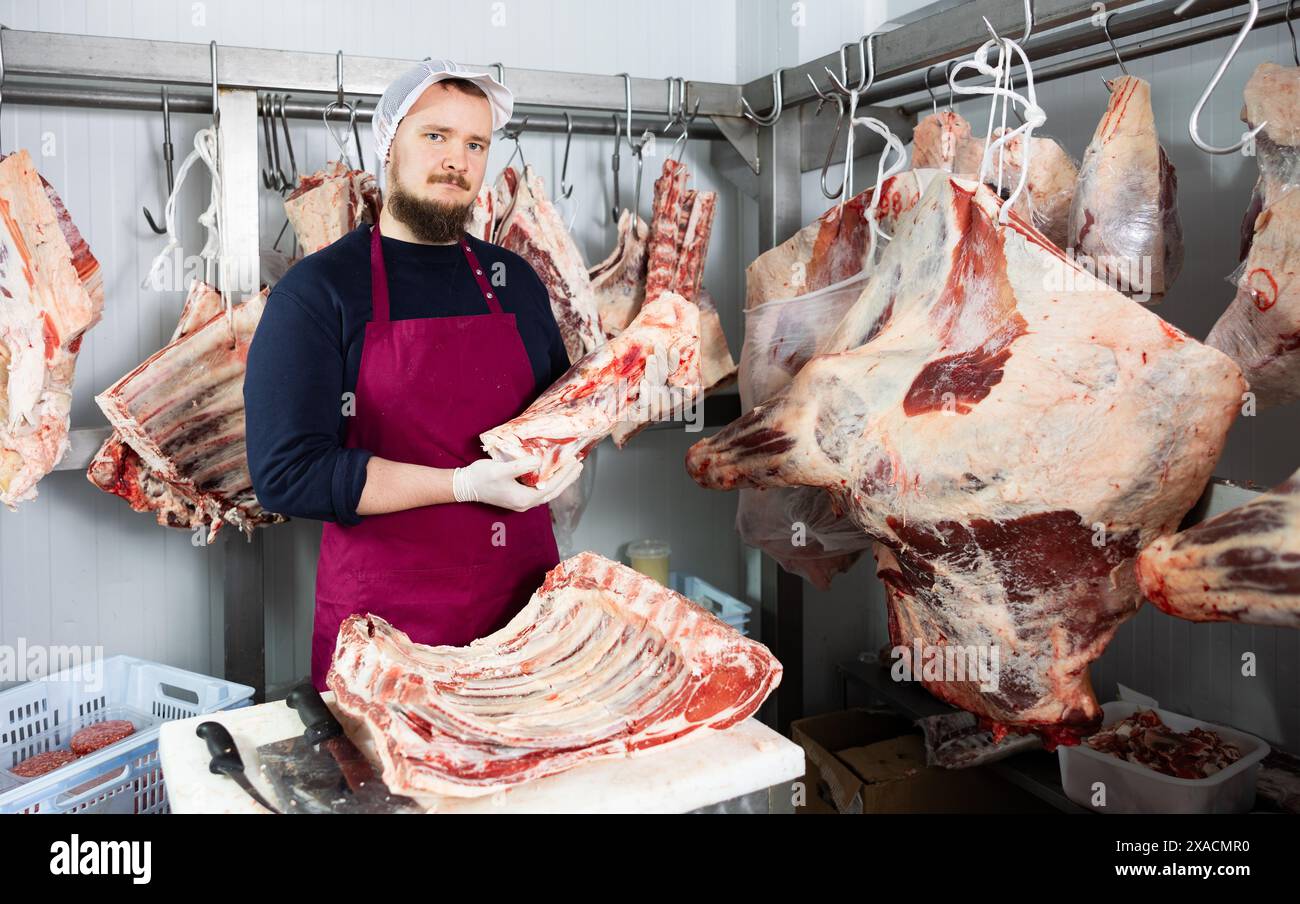 Male butcher shop butcher shows raw chopped carcasses and ribs Stock ...