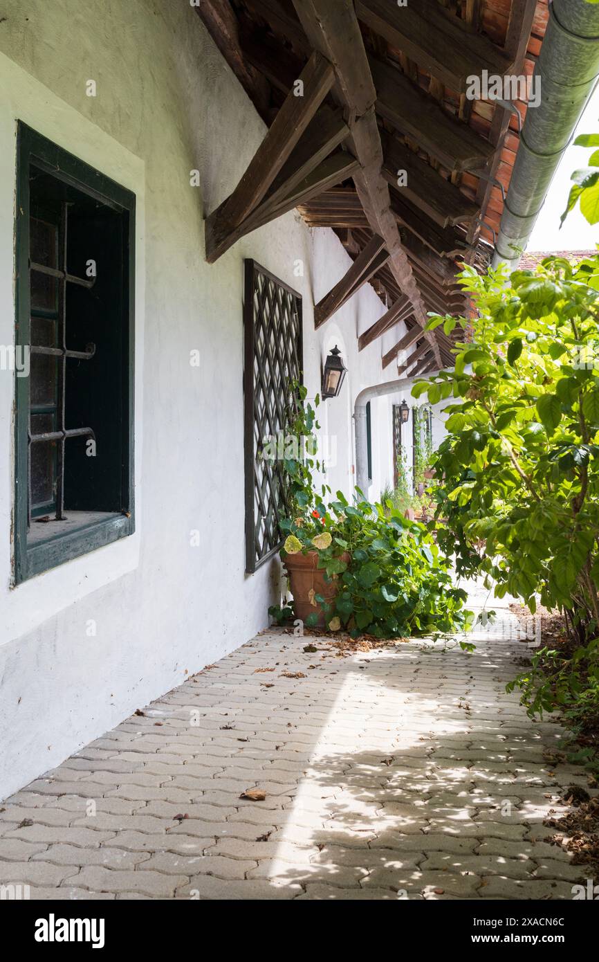 photography of an old traditional Alpine farmhouse with white walls ...
