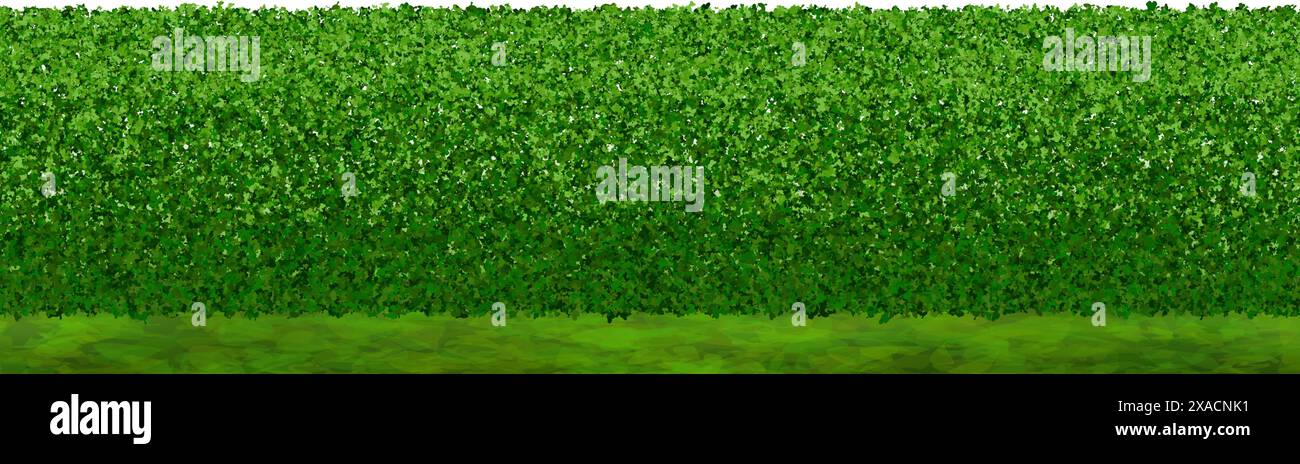 Green lawn with a hedge of boxwood bushes. Seamless background with ...