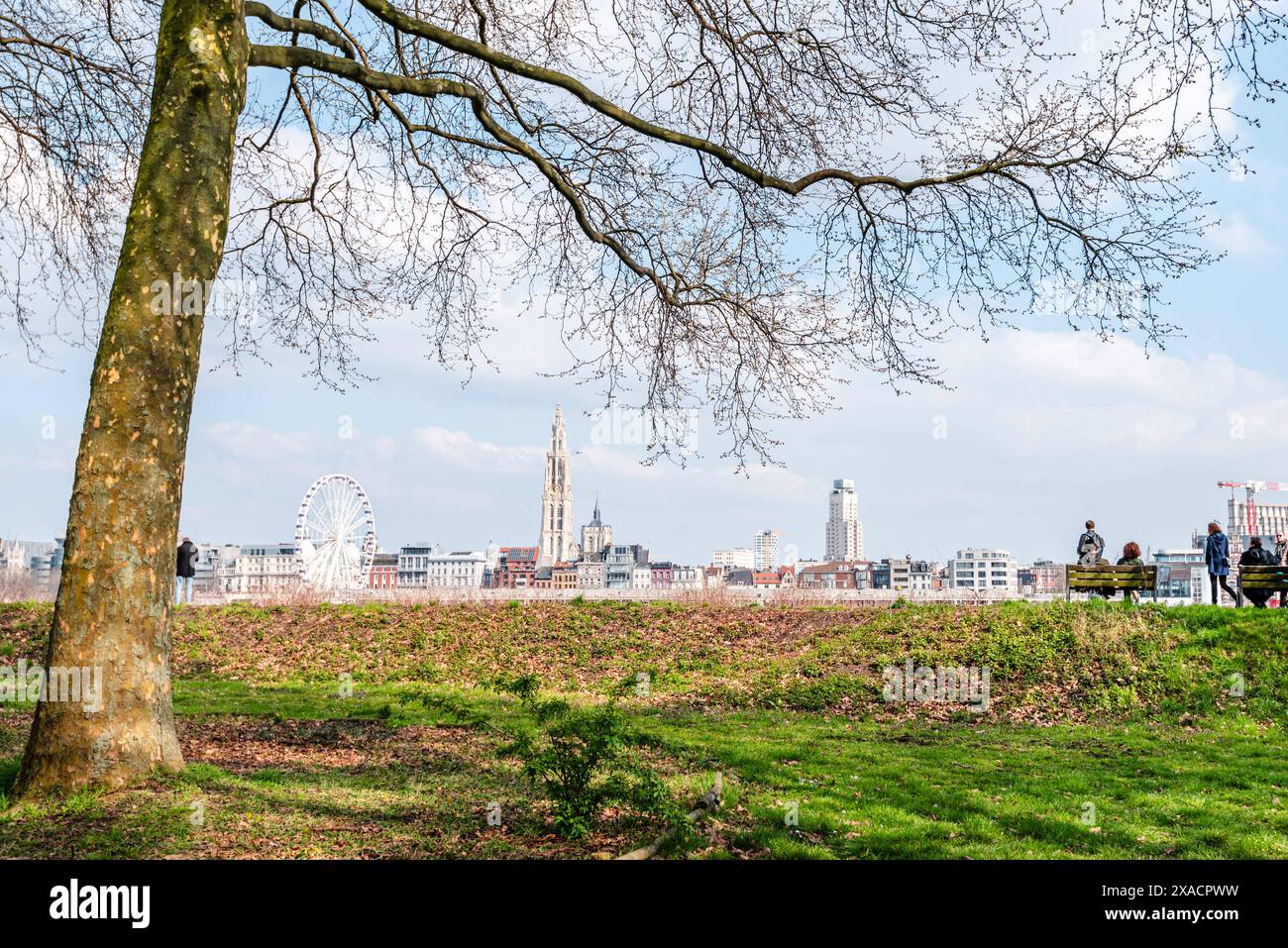 View of the skyline of Antwerp across the River Schelde from a park ...