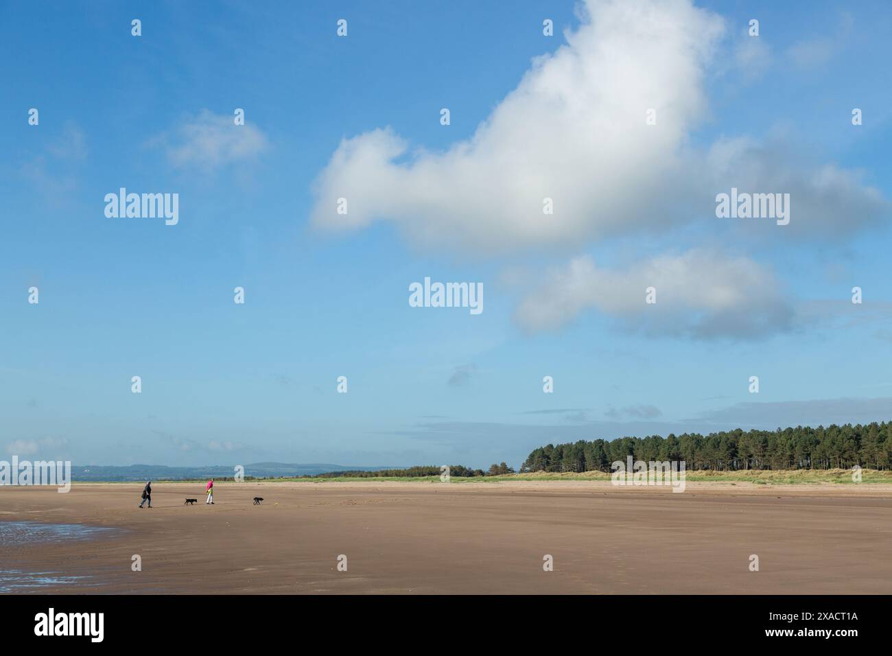 Tentsmuir beach on a sunny morning Stock Photo - Alamy