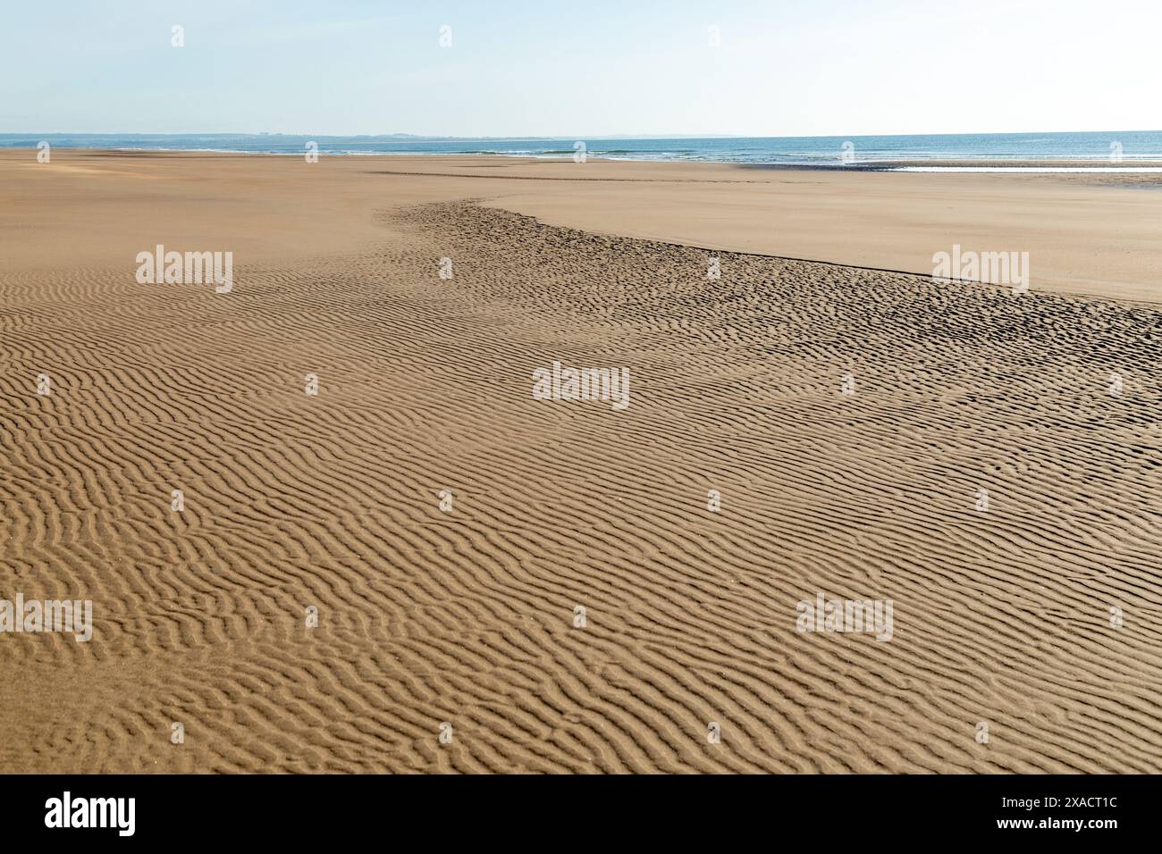 Tentsmuir beach on a sunny morning Stock Photo - Alamy