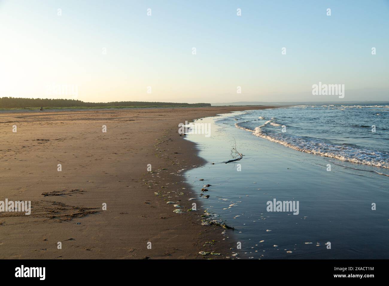 Tentsmuir beach on a sunny morning Stock Photo - Alamy