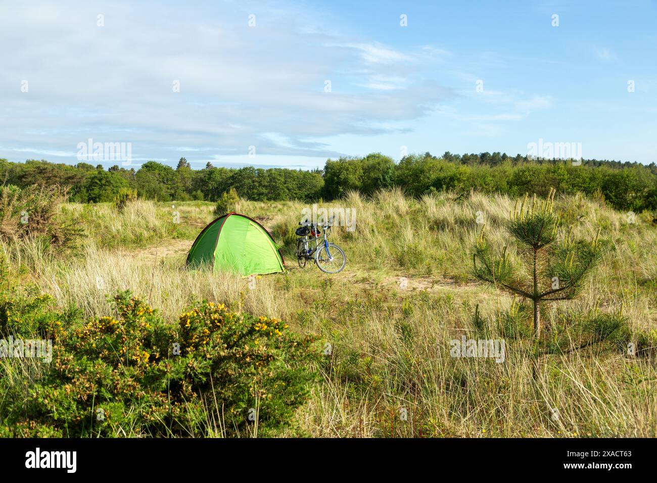 Wild camping at Tentsmuir National Nature Reserve, Fife, Scotland Stock ...