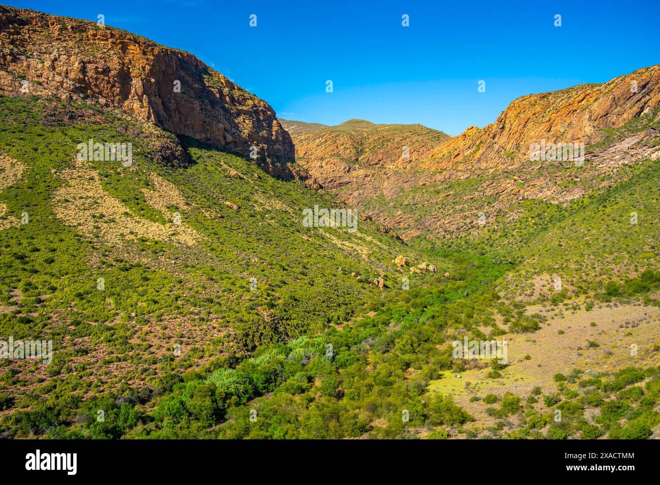 View of green mountainous landscape between Zoar and Calitzdorp, South ...