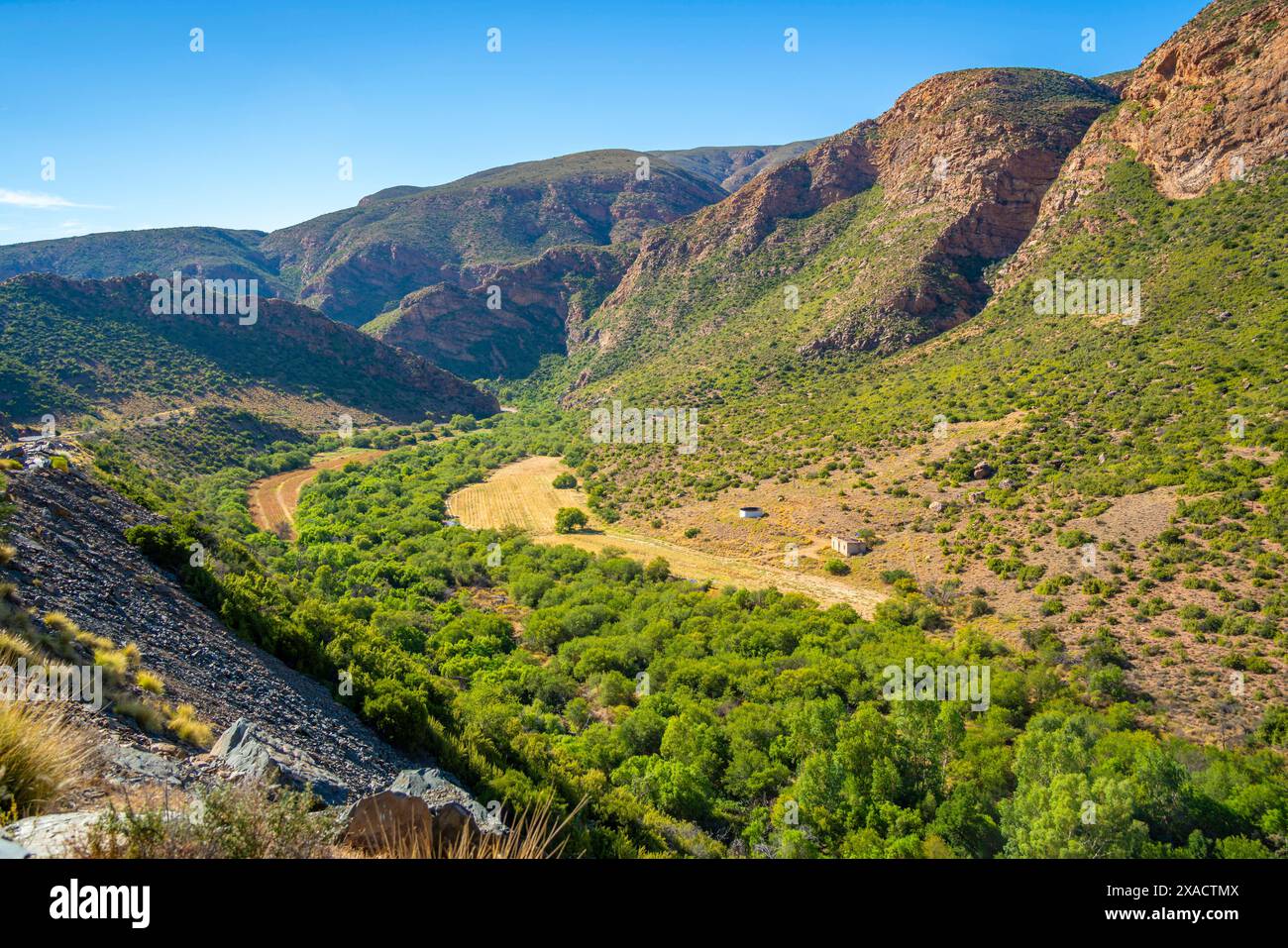 View of green mountainous landscape between Zoar and Calitzdorp, South ...