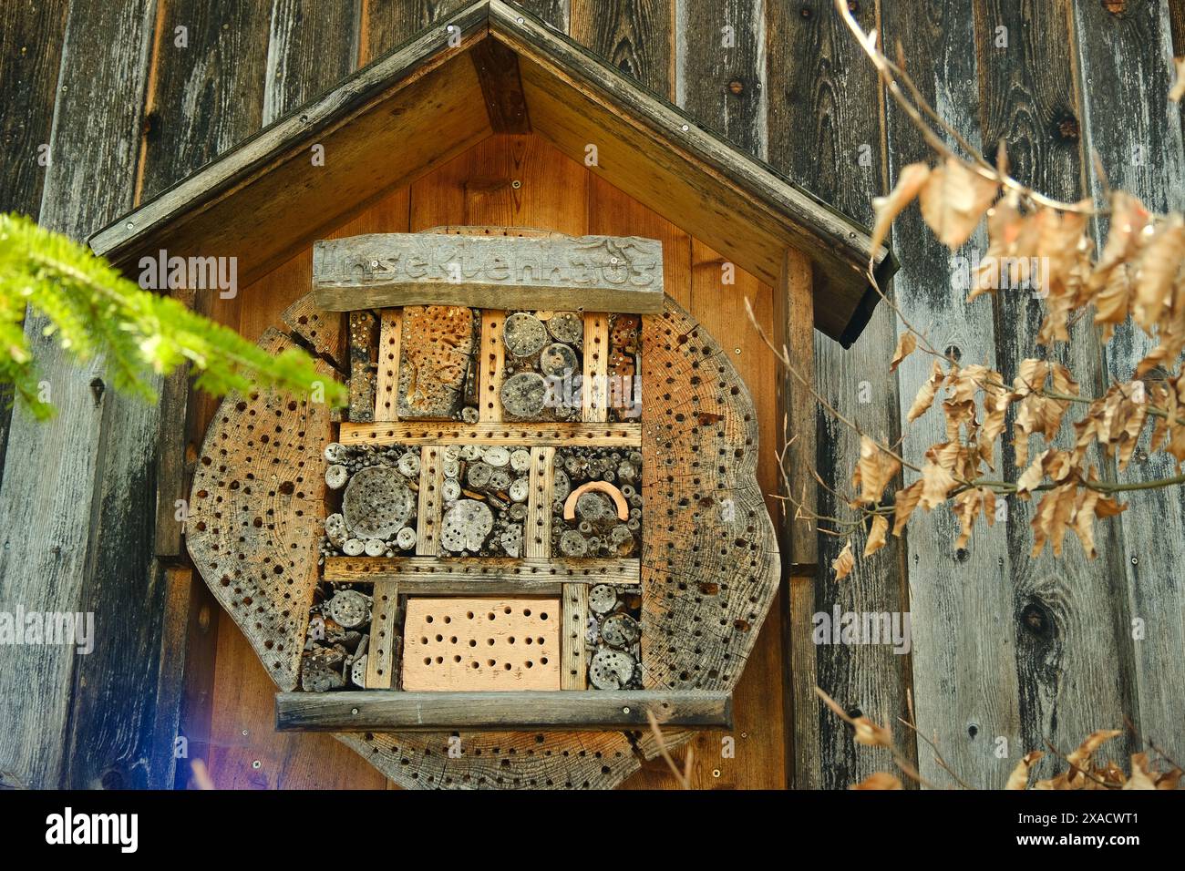 A wooden box with holes in it is sitting on a wall. The box is covered ...