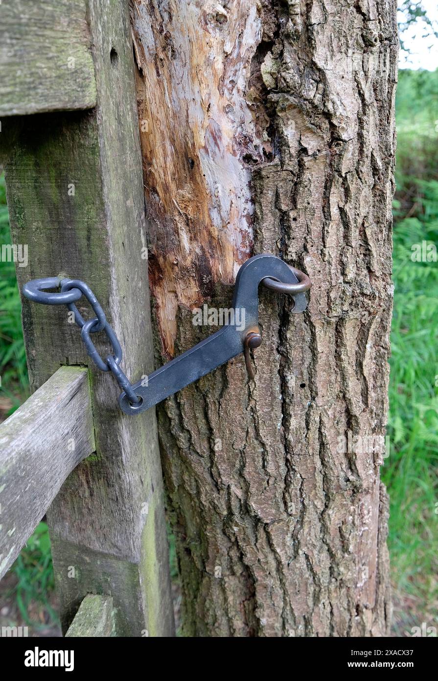 Gate latch hi-res stock photography and images - Alamy