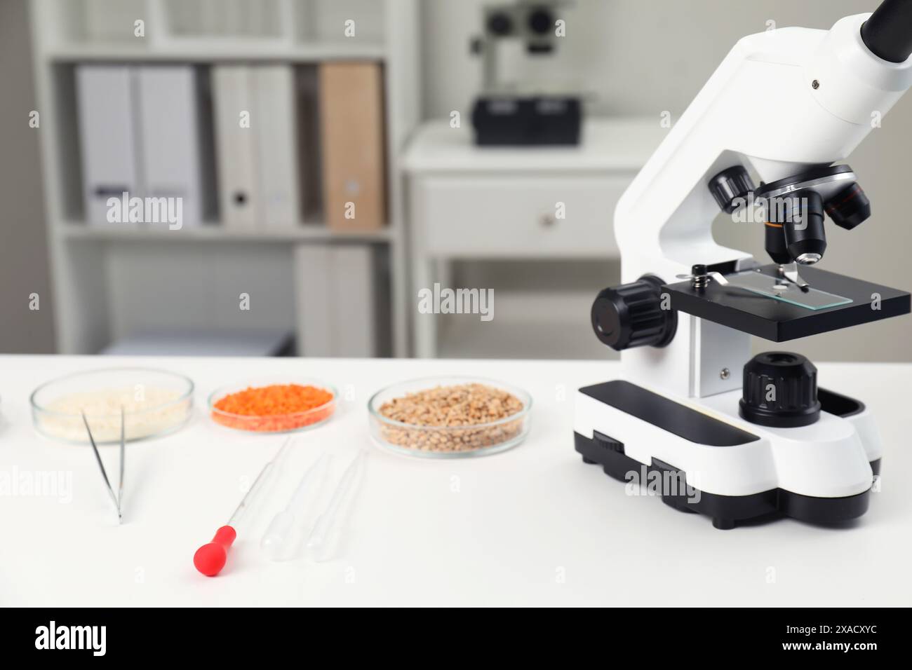 Food quality control. Microscope, petri dishes with different products ...