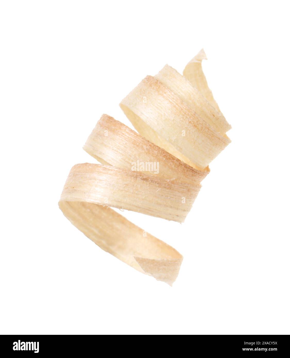 One shaving of wood isolated on white Stock Photo - Alamy