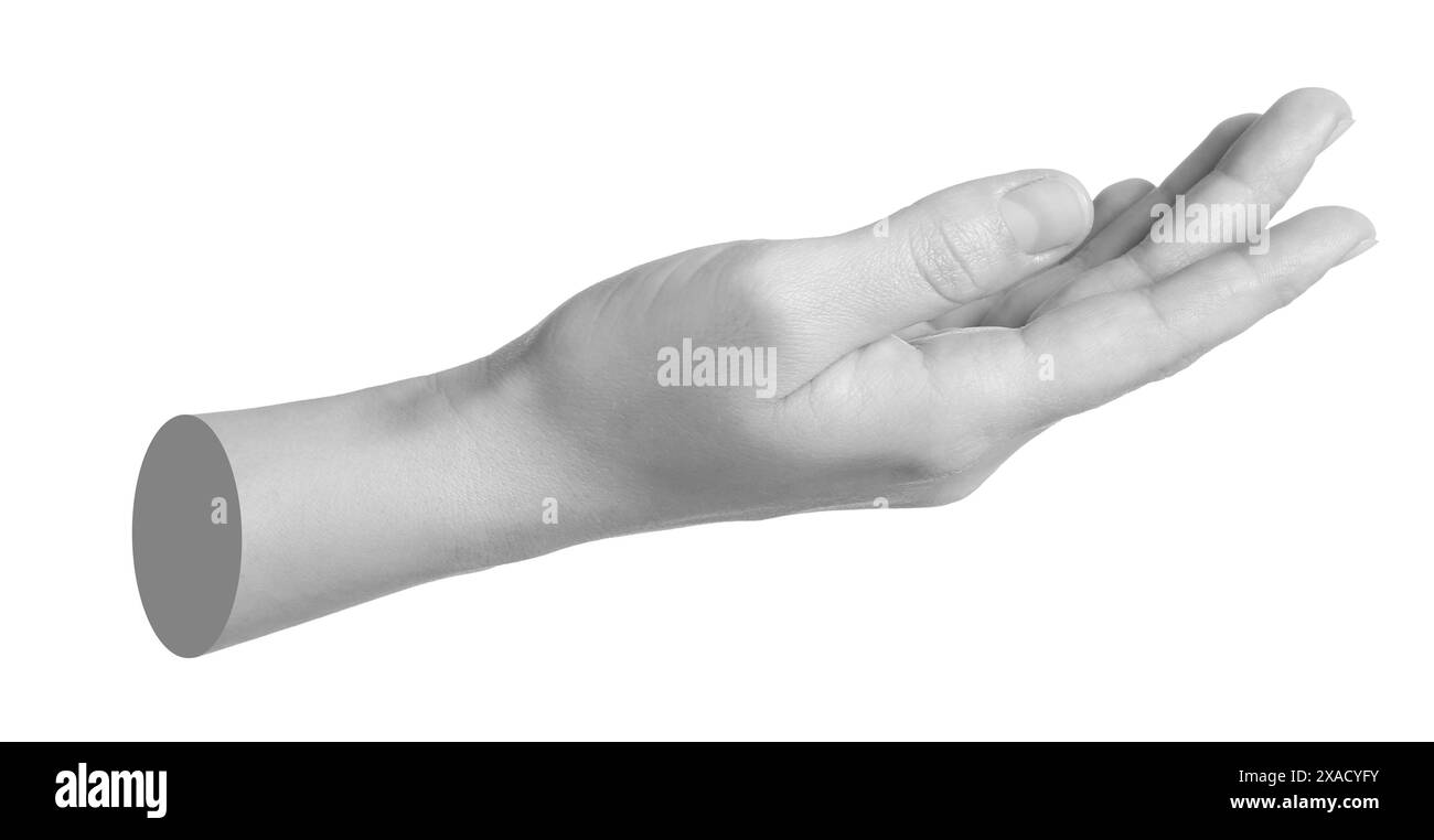 Womans Hand Holding Something On White Background Black And White