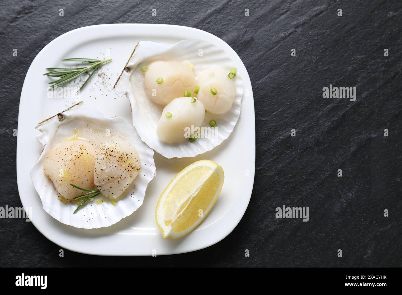 Raw scallops with green onion, rosemary, lemon and shells on dark ...